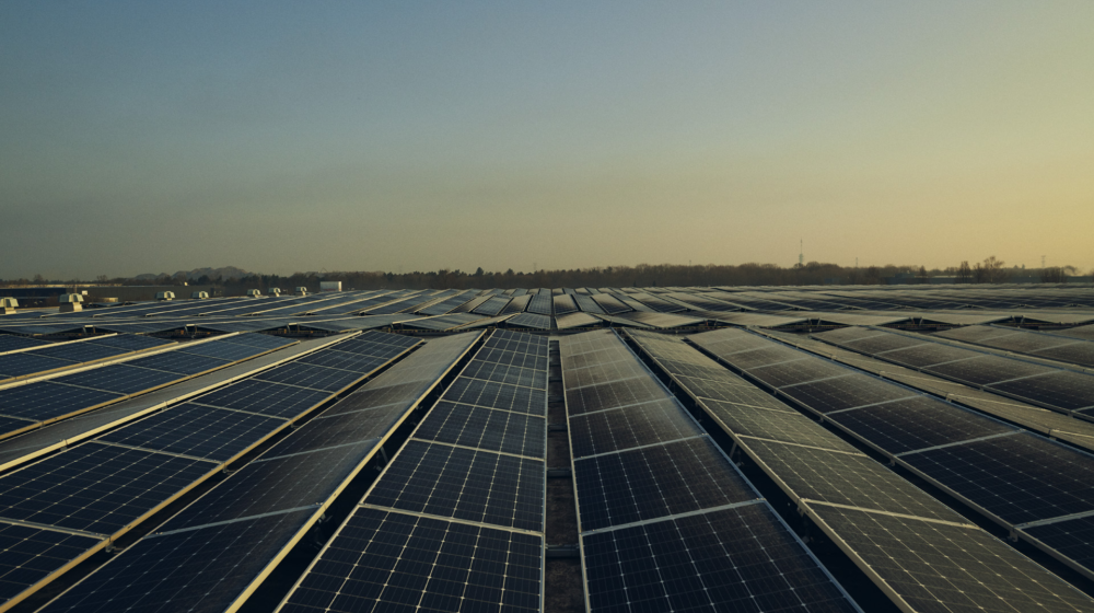 Sustainability - stichd