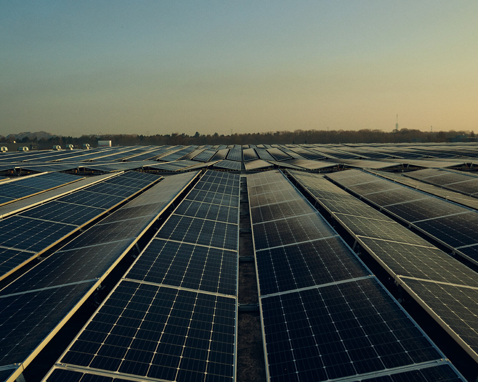 Sustainability | stichd Impact Report 2022 - stichd