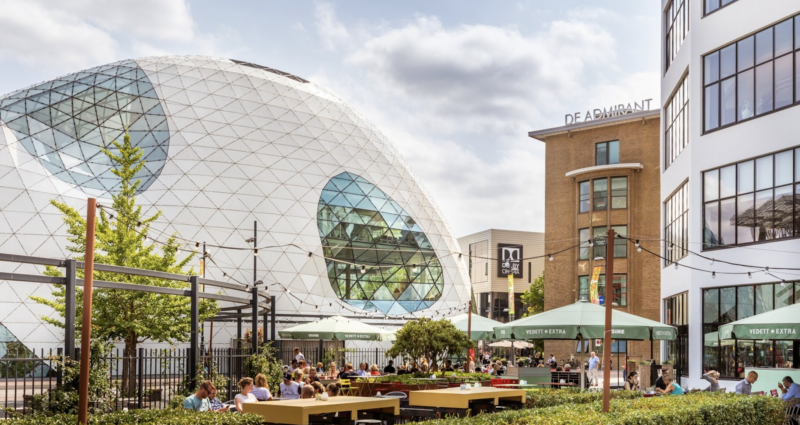 Brabant is Buzzing - stichd